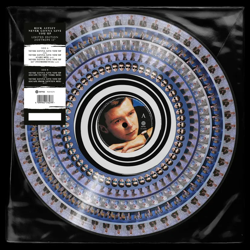 Rick Astley - Never Gonna Give You Up (Zoetrope picture disc) (New Vin ...