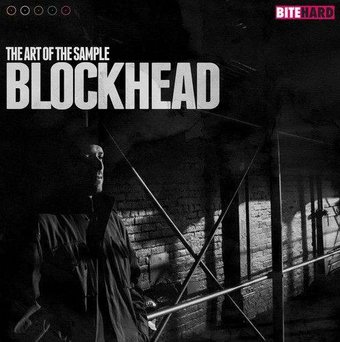 Blockhead - Art Of The Sample (New Vinyl) – Sonic Boom Records
